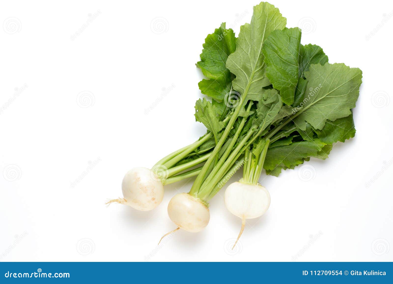 Fresh White Round Turnip Radish on White Background. Stock Photo ...