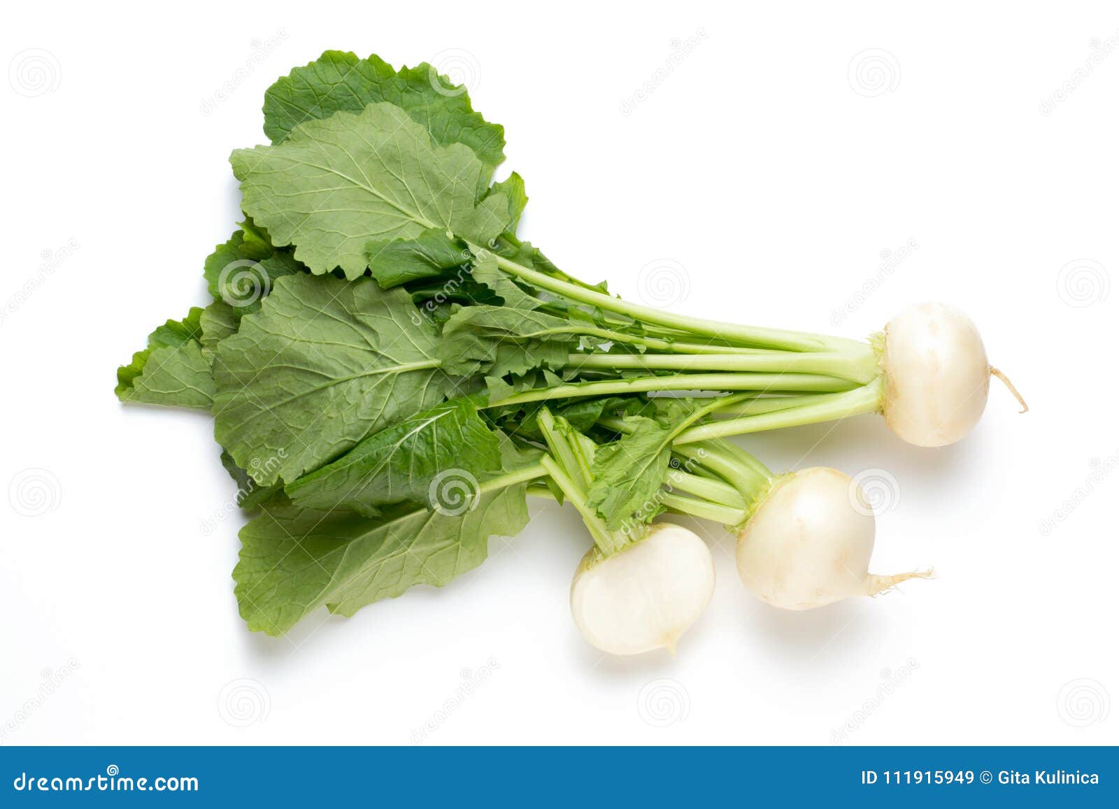 Fresh White Round Turnip Radish on White Background. Stock Image ...