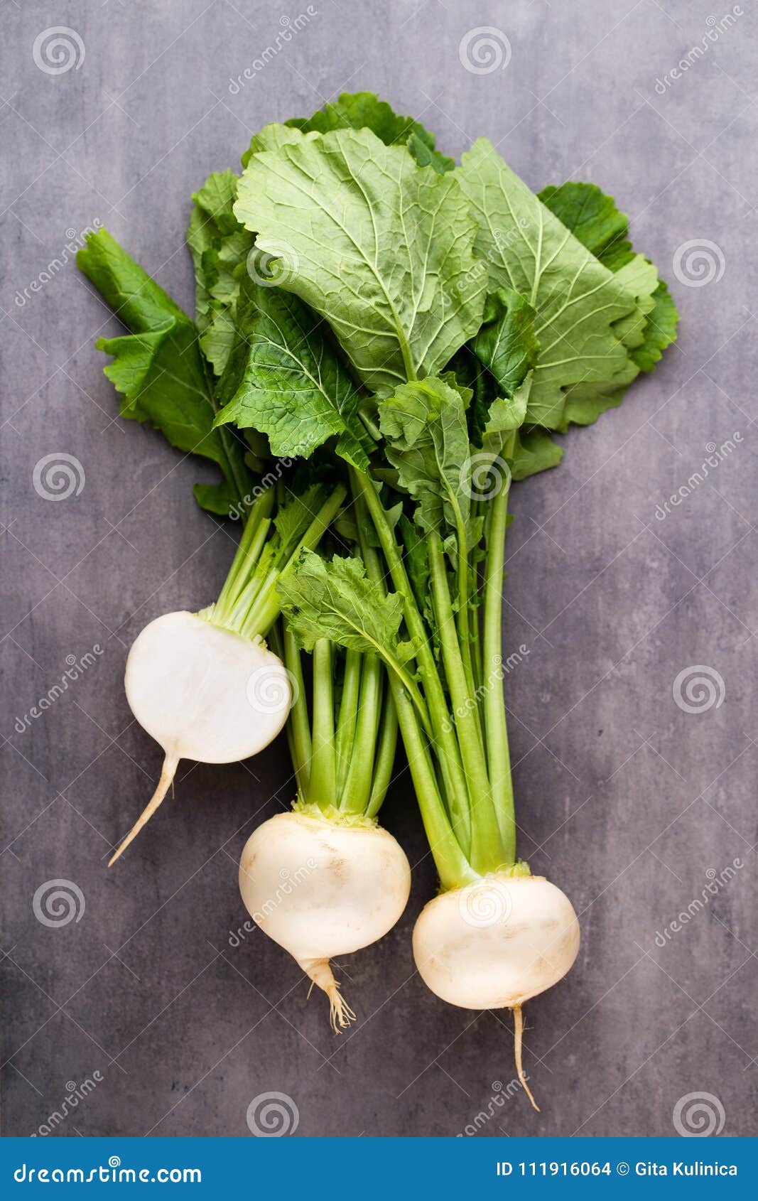 Fresh White Round Turnip Radish on White Background. Stock Photo ...