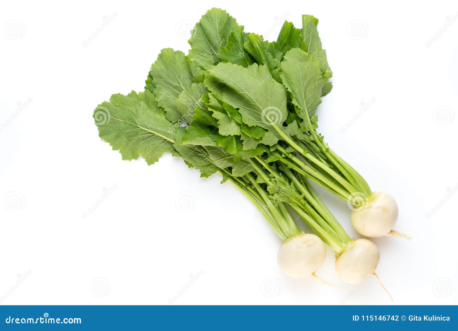 Fresh White Round Turnip Radish on White Background. Stock Photo ...