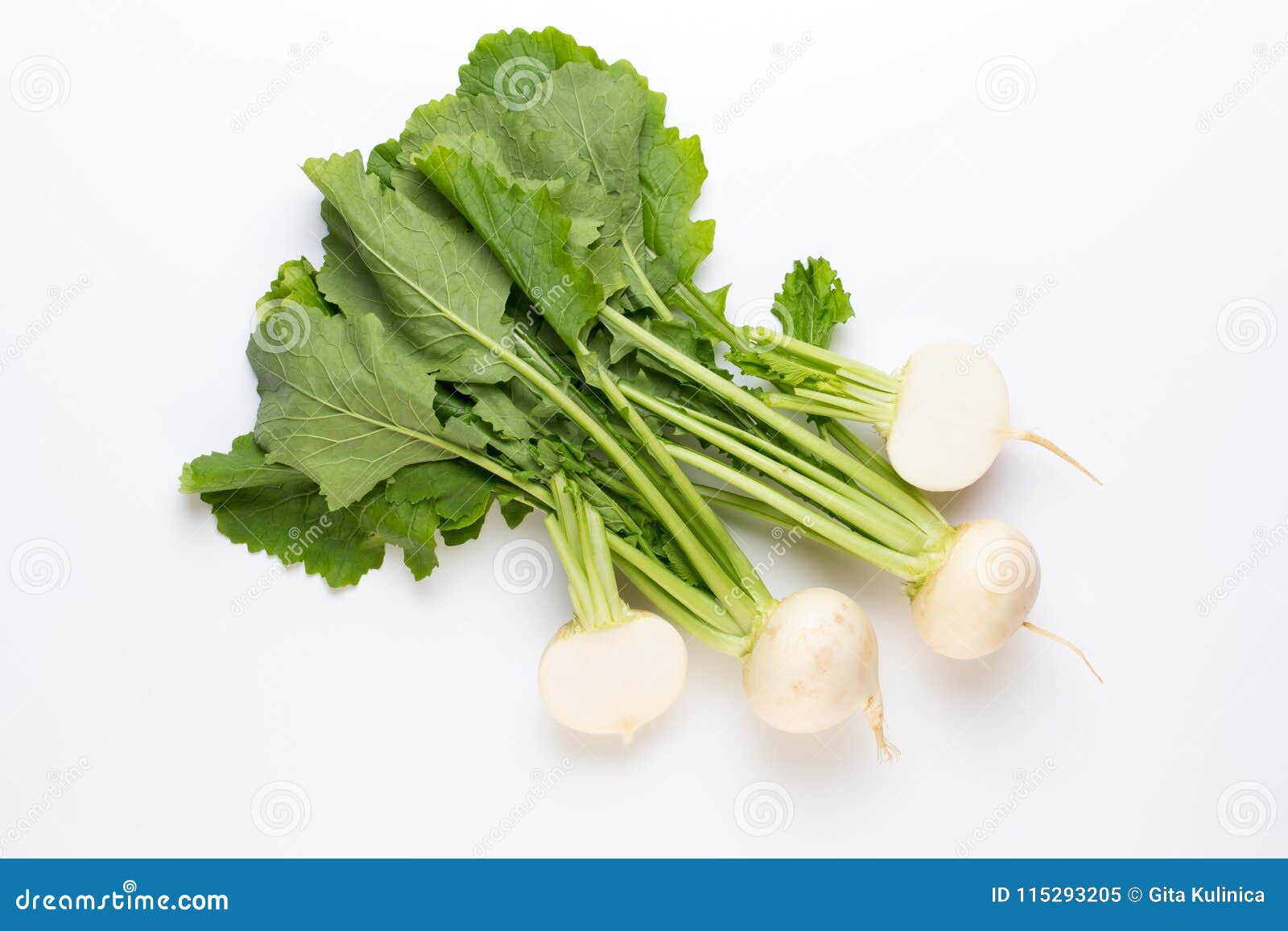 Fresh White Round Turnip Radish on White Background. Stock Image ...