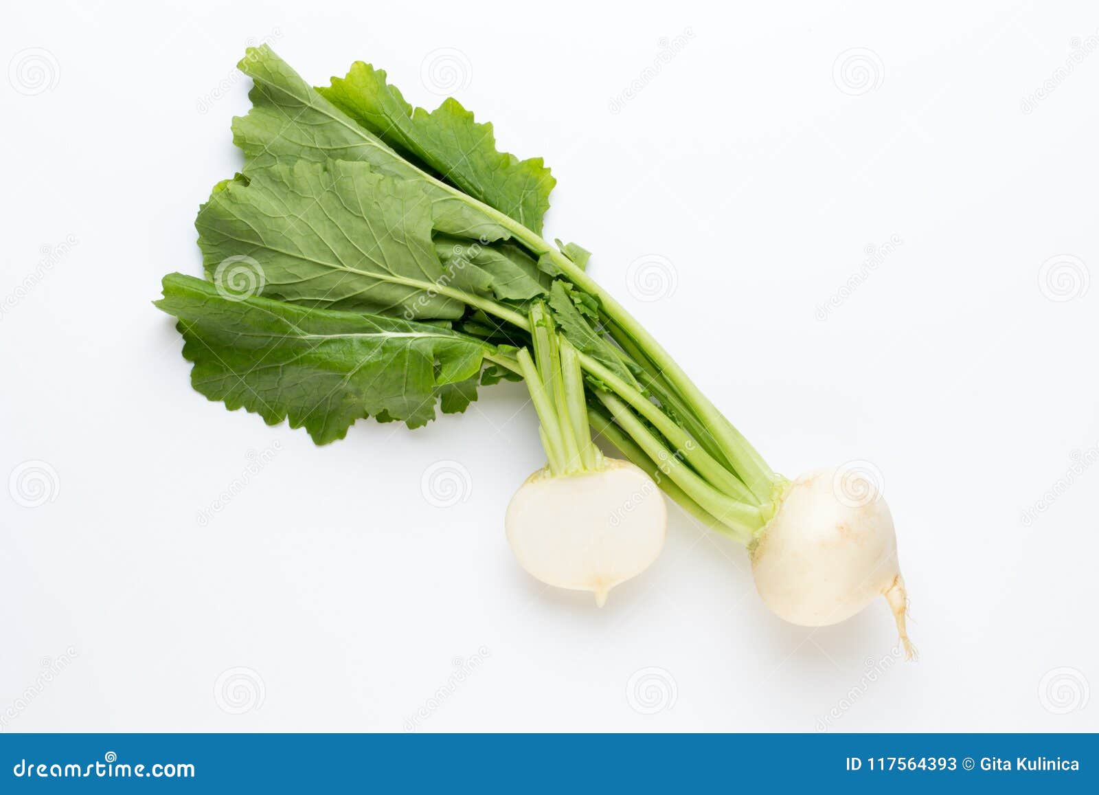 Fresh White Round Turnip Radish on White Background. Stock Image ...