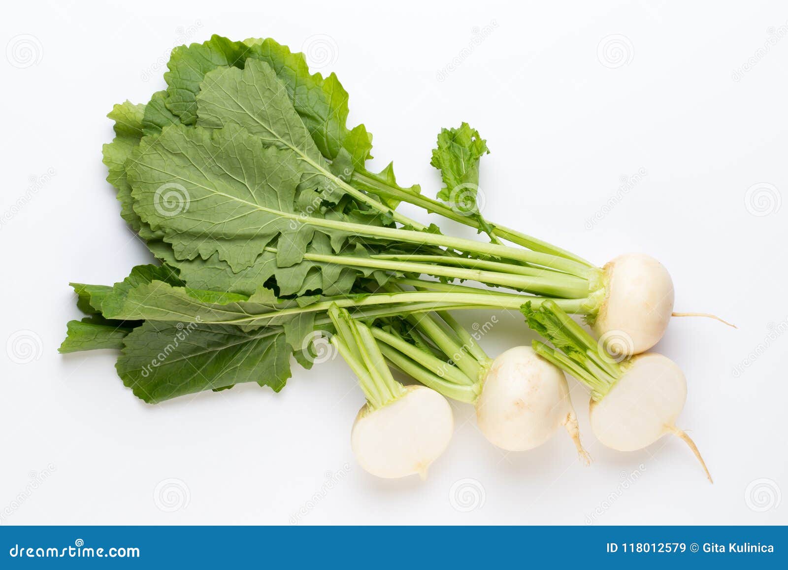 Fresh White Round Turnip Radish on White Background. Stock Image ...