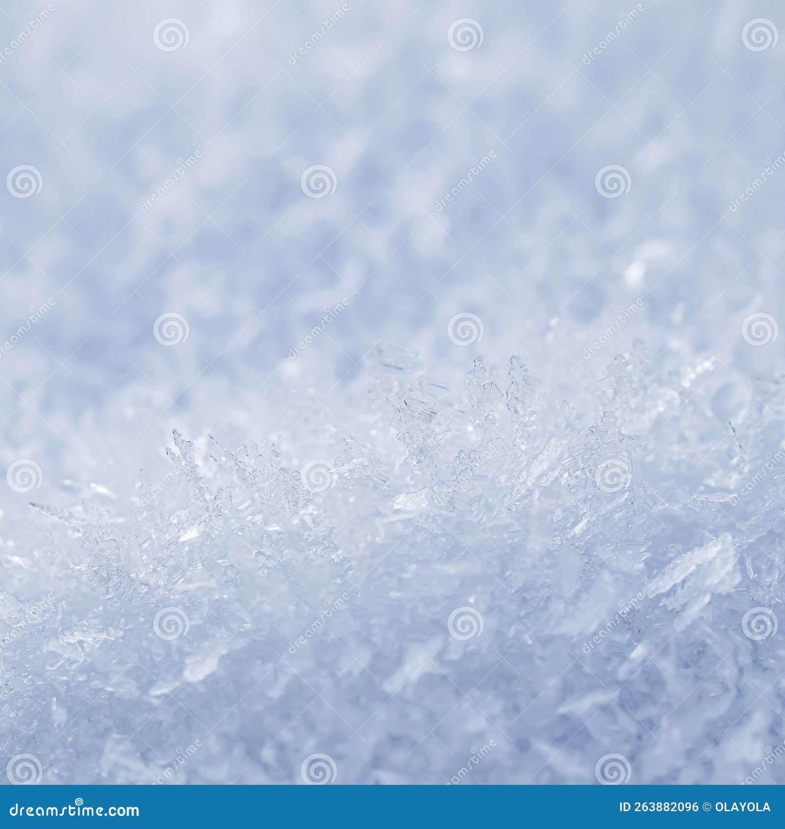 Fresh Snow Background. Natural Winter Backdrop. Texture in Blue Tones ...