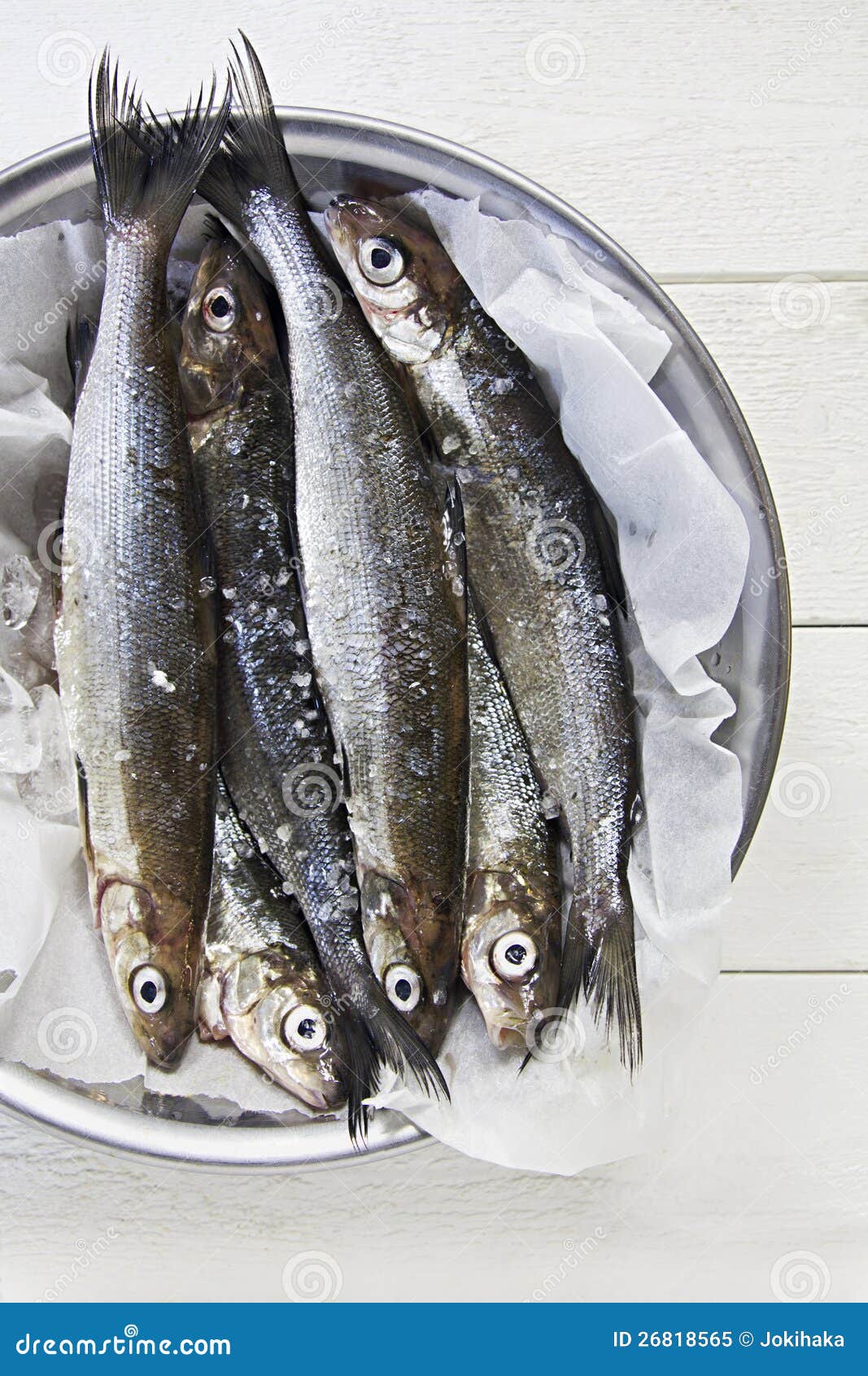 Fresh Whitefish stock image. Image of kitchen, fish, silver - 26818565