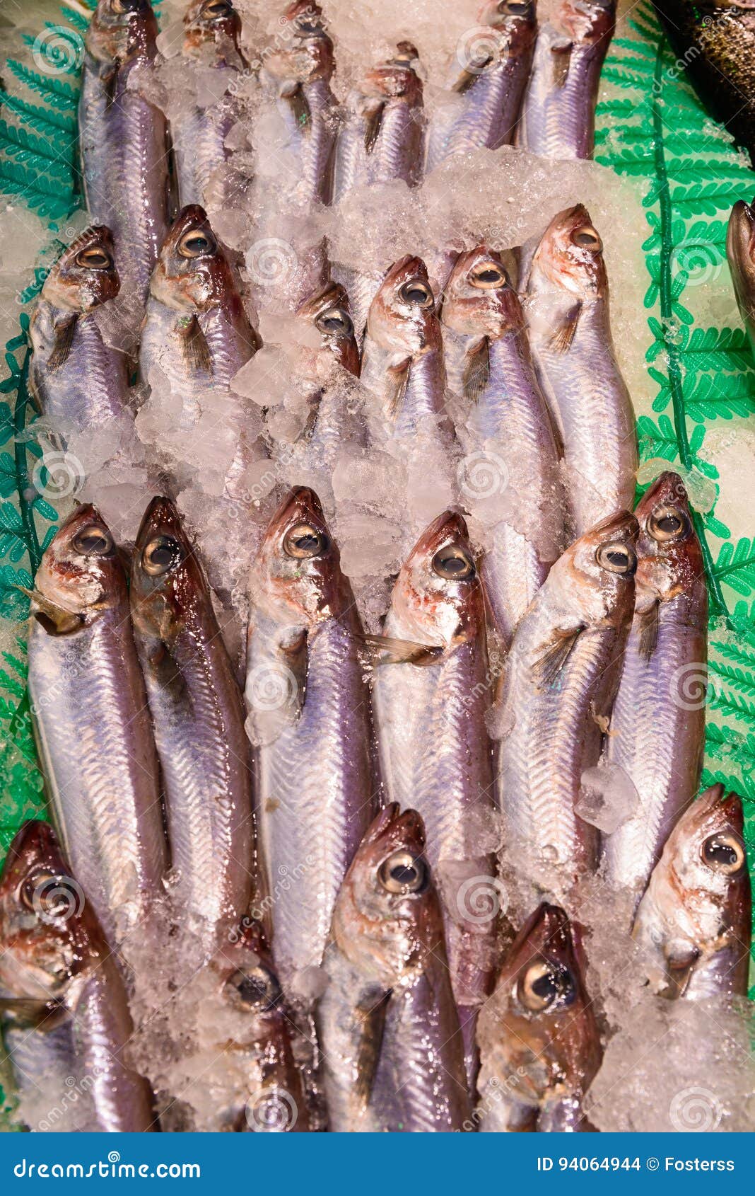 Fresh whiting stock photo. Image of market, healthy, marine - 94064944