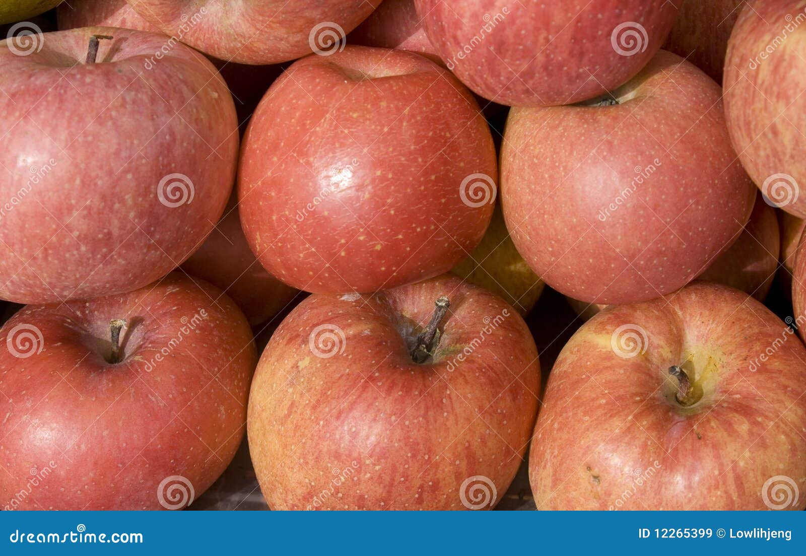Fresh whole apples stock image. Image of circles, drink - 12265399
