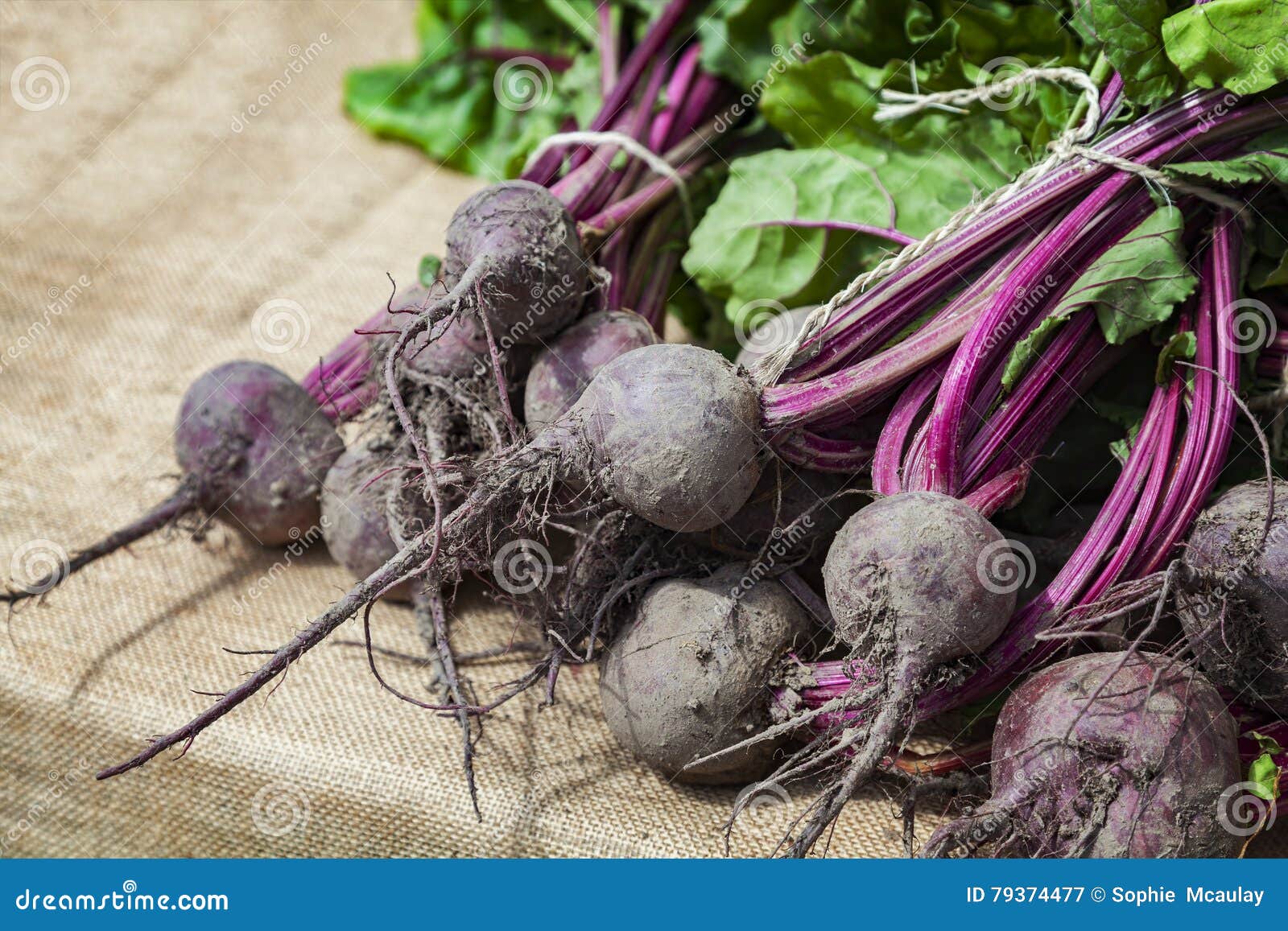 Fresh whole beetroot stock image. Image of farm, leaf - 79374477