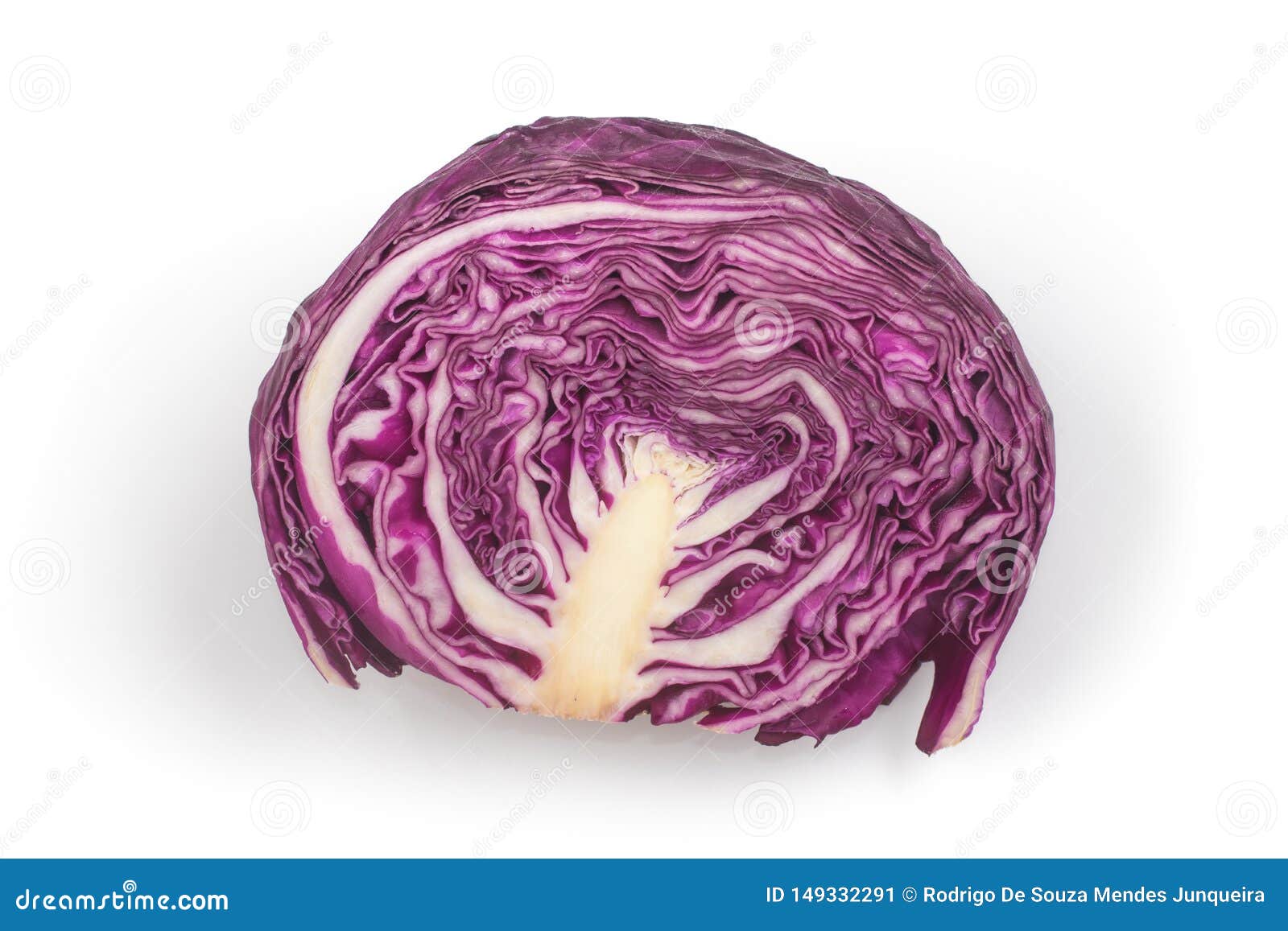 Fresh Whole Cabbage Cut in Half Stock Image - Image of slaw, chopped ...