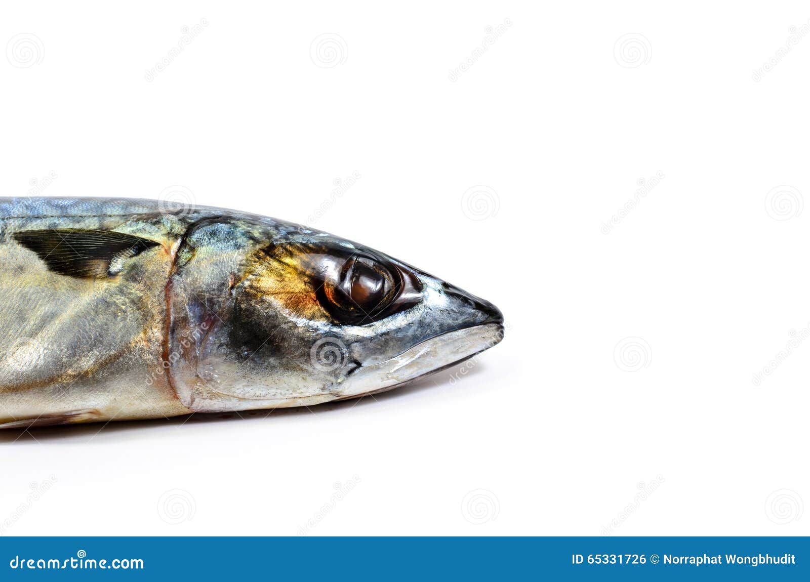 Fresh Whole Fish stock photo. Image of sushi, saba, healthy - 65331726