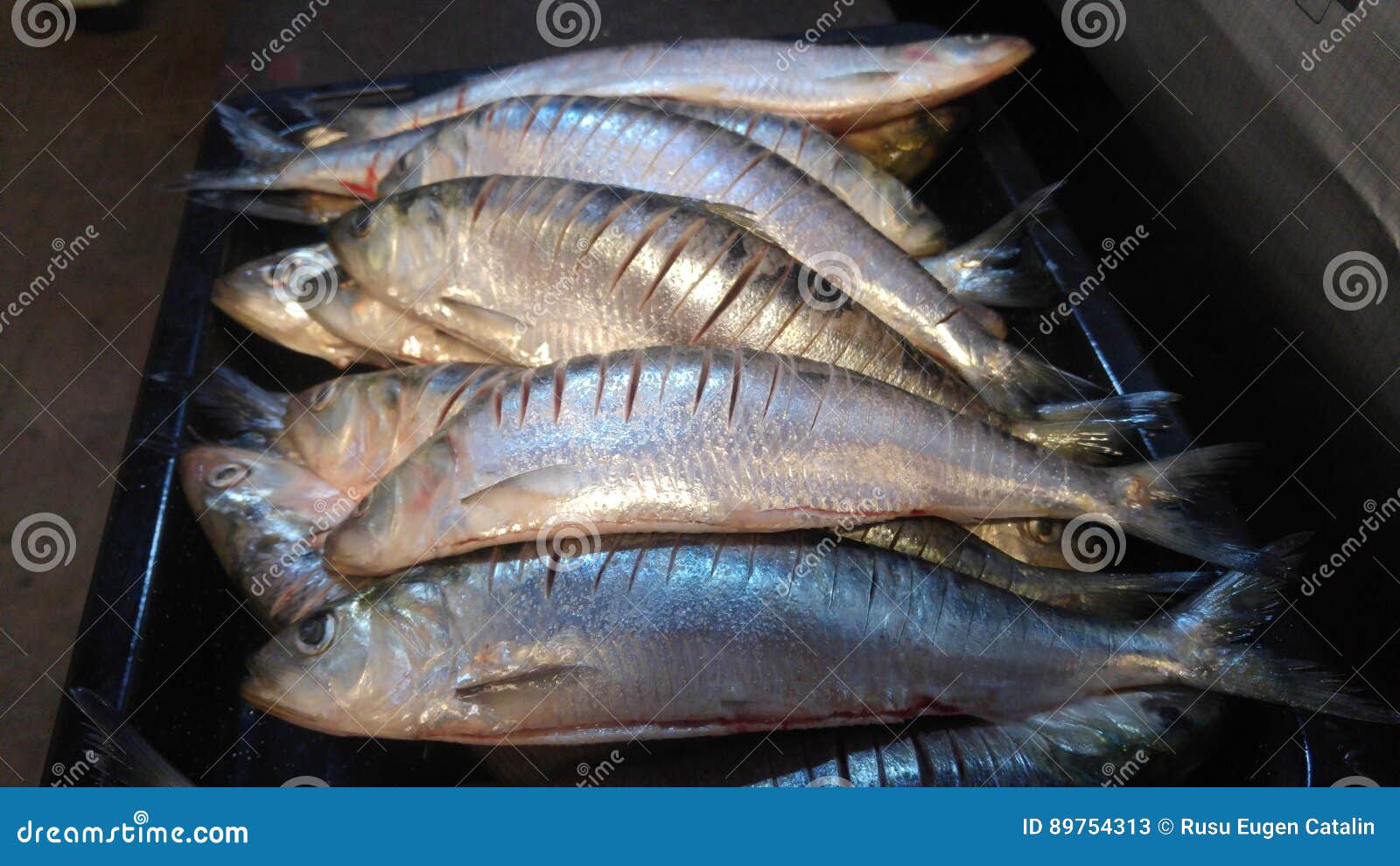Scored Fish Stock Photos - Free & Royalty-Free Stock Photos from Dreamstime