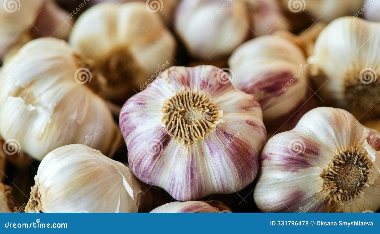 Fresh Whole Garlic Bulbs Close-Up Texture Background Stock Photo ...