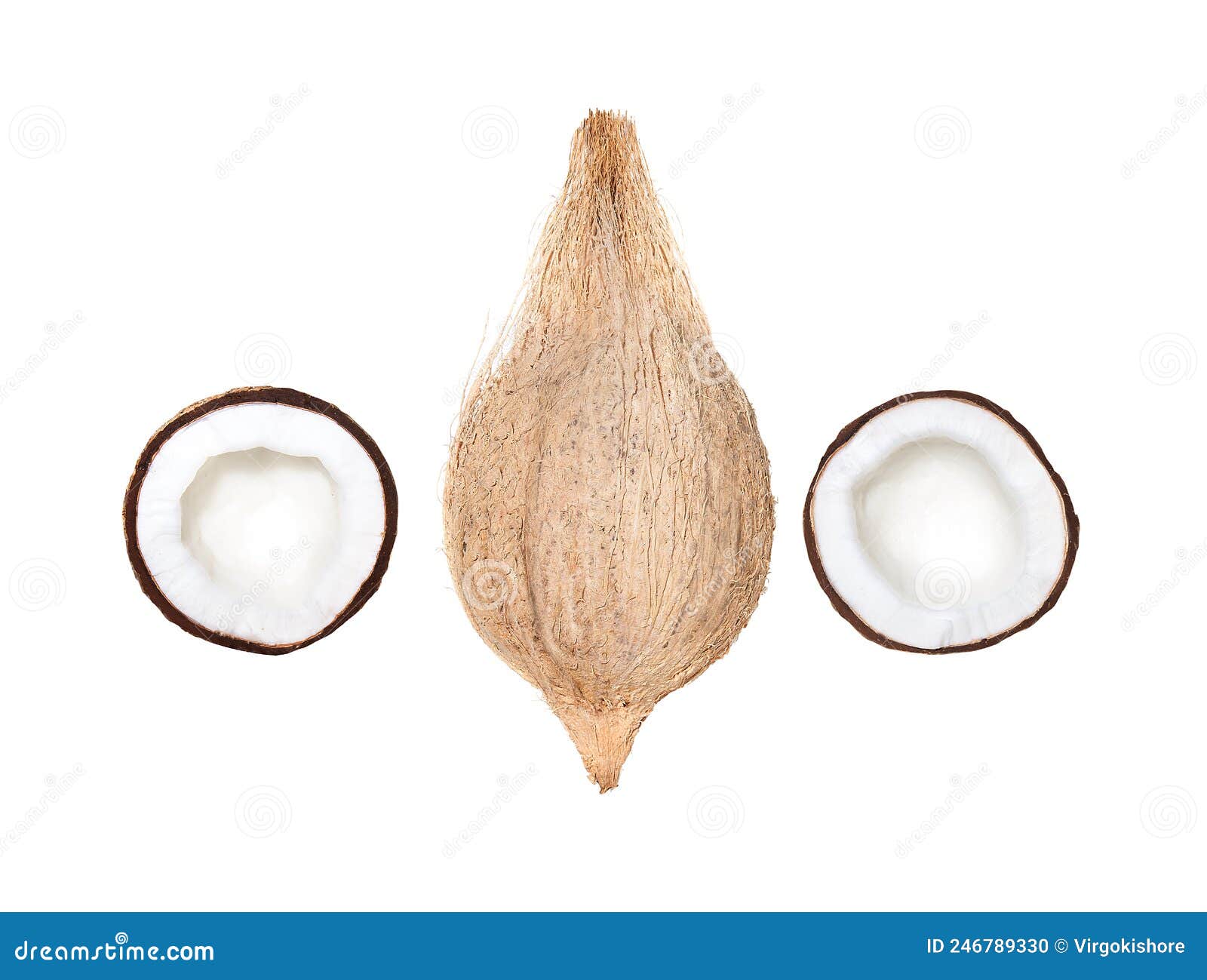 Fresh Whole and Half Coconut Isolated on White Background Stock Photo ...