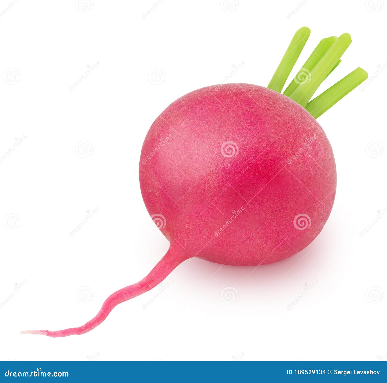 Fresh Whole Radish Isolated on a White Background Stock Photo - Image ...