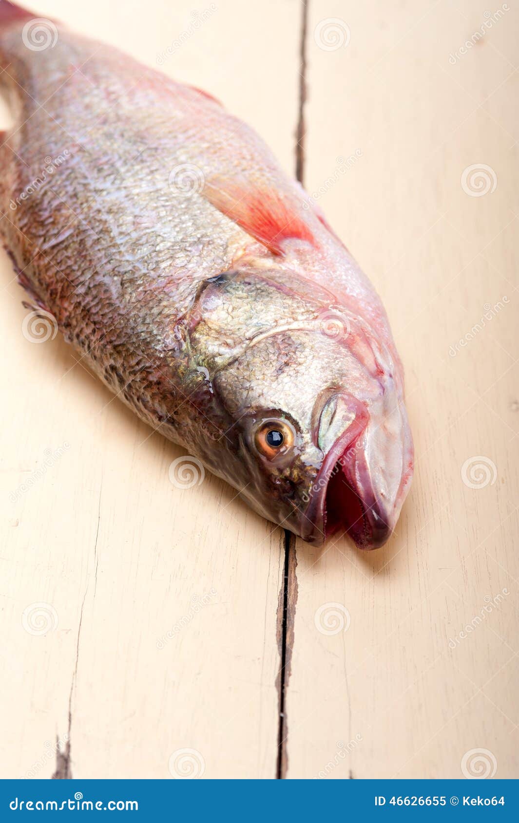 Fresh whole raw fish stock image. Image of seafood, uncooked - 46626655