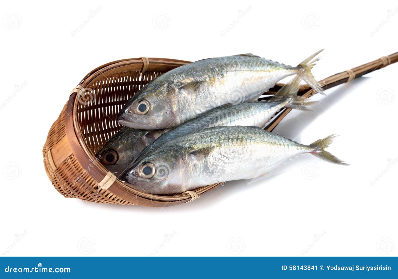 Fresh Whole Round Indian Mackerel in Bamboo Dipper on White Stock Image ...