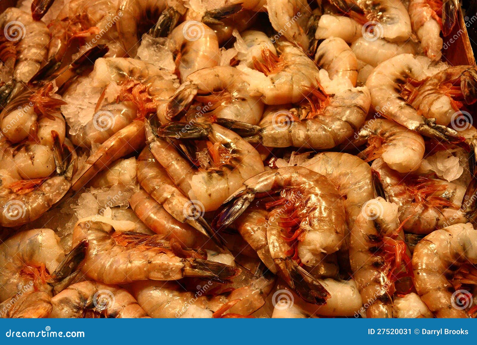 Fresh Whole Shrimp stock image. Image of crustaceans - 27520031