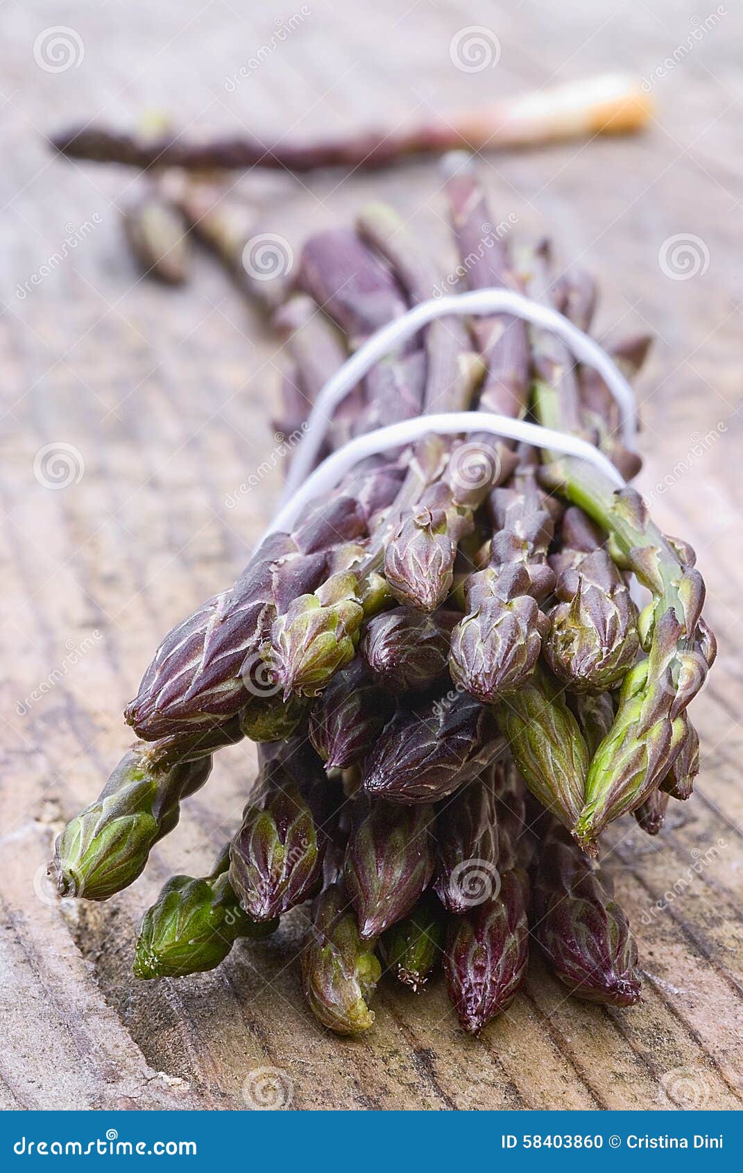 Fresh Wild Asparagus (Asparagus Acutifolius) Stock Photo - Image of ... Fresh Wild Asparagus (Asparagus Acutifolius) Stock Photo - Image of ...