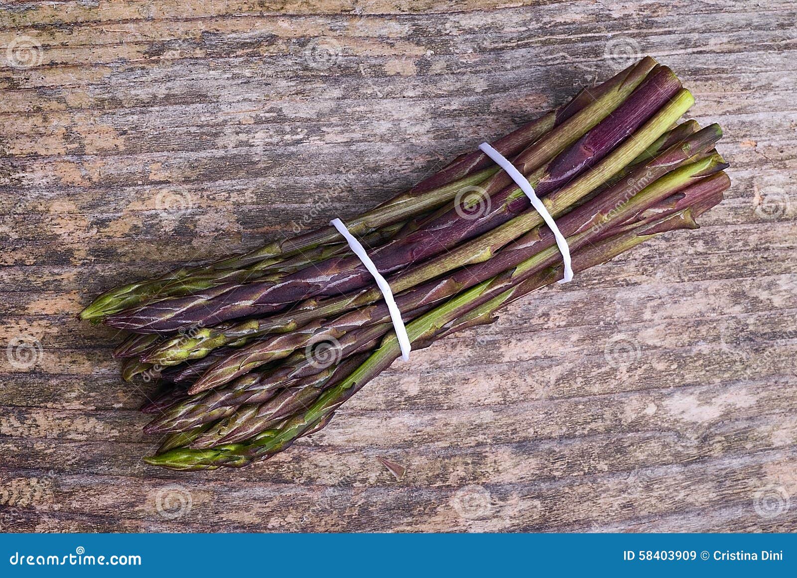 Fresh Wild Asparagus (Asparagus Acutifolius) Stock Image - Image of ... Fresh Wild Asparagus (Asparagus Acutifolius) Stock Image - Image of ...