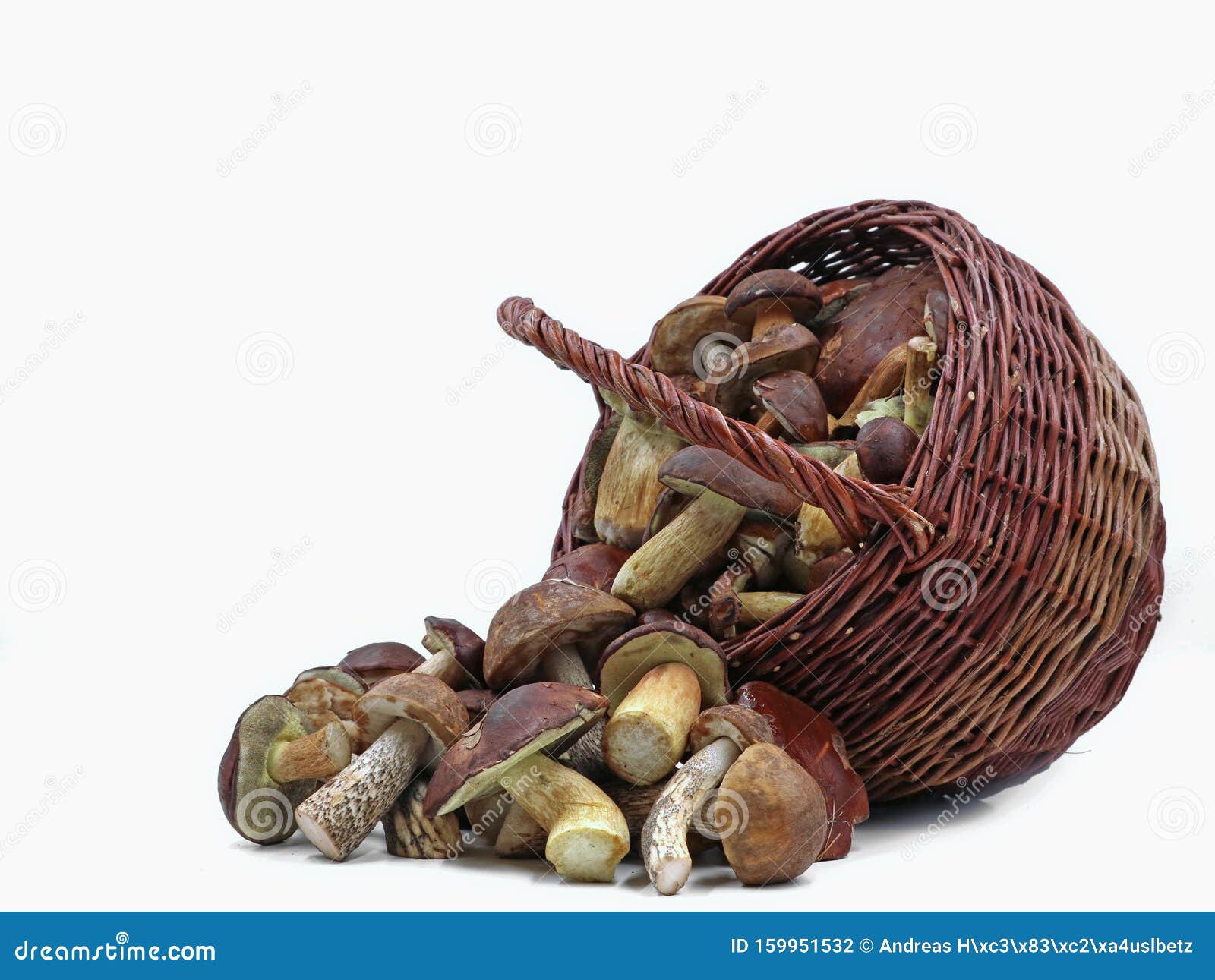 Fresh Wild Mushrooms in Fallen Basket Isolated on White Background ...