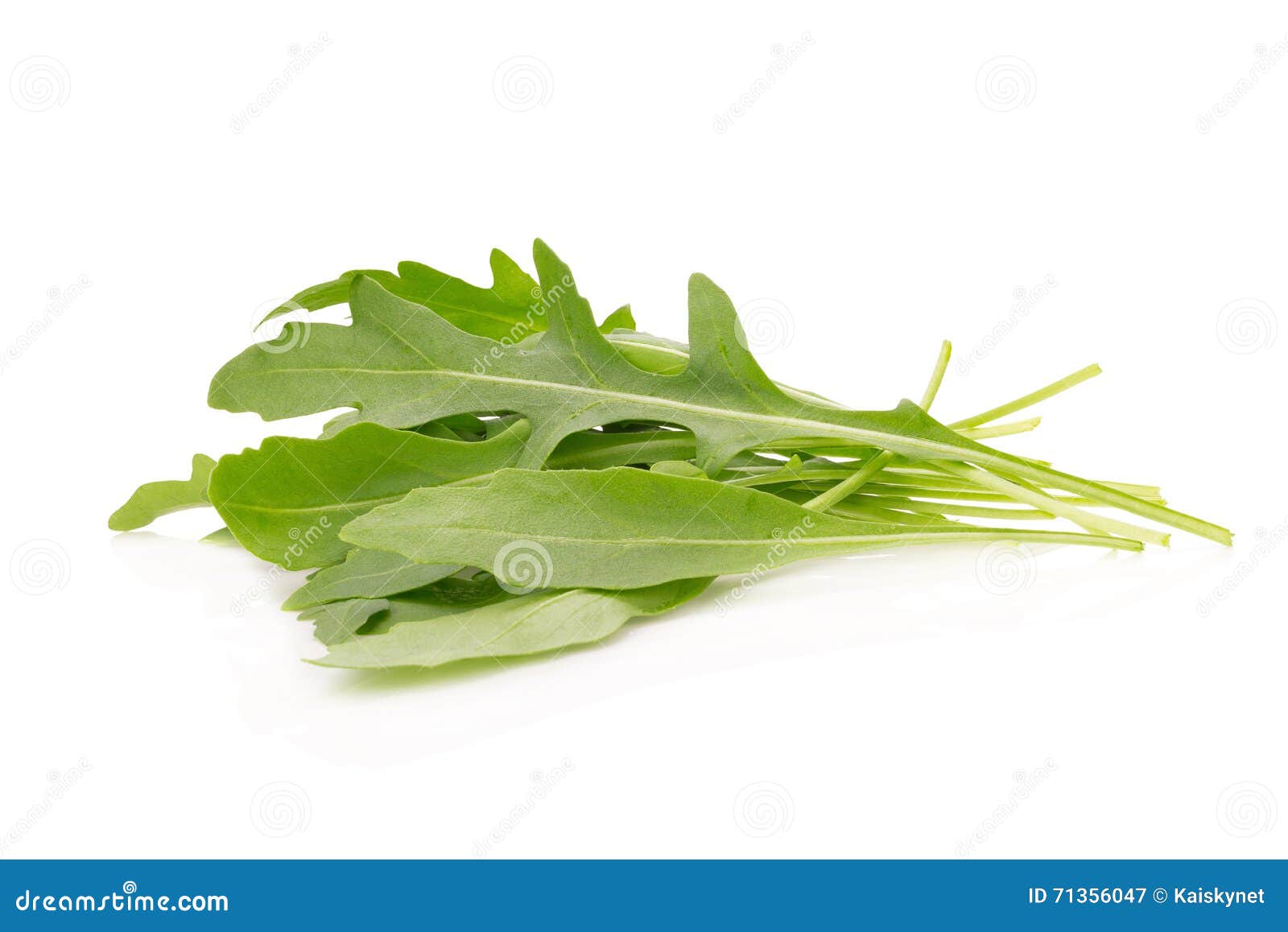 Fresh Wild Rocket Rucola Leaves on White Background Stock Image - Image ...