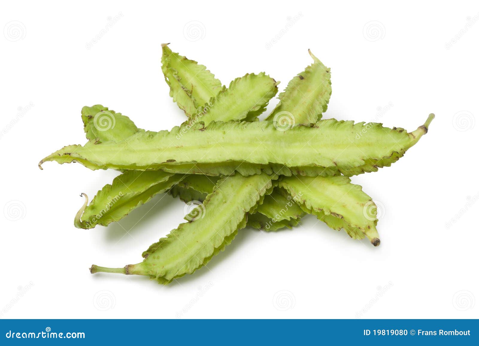 Beans Of A Winged Bean, Psophocarpus Tetragonolobus Royalty-Free Stock ...