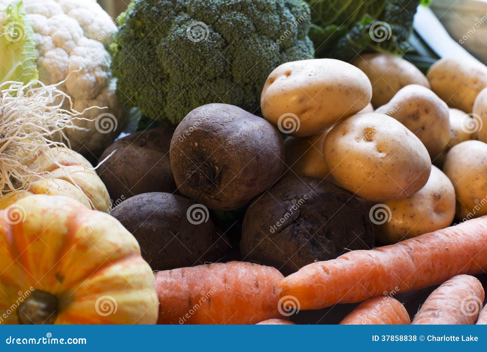 Fresh Winter Vegetables stock photo. Image of potato - 37858838