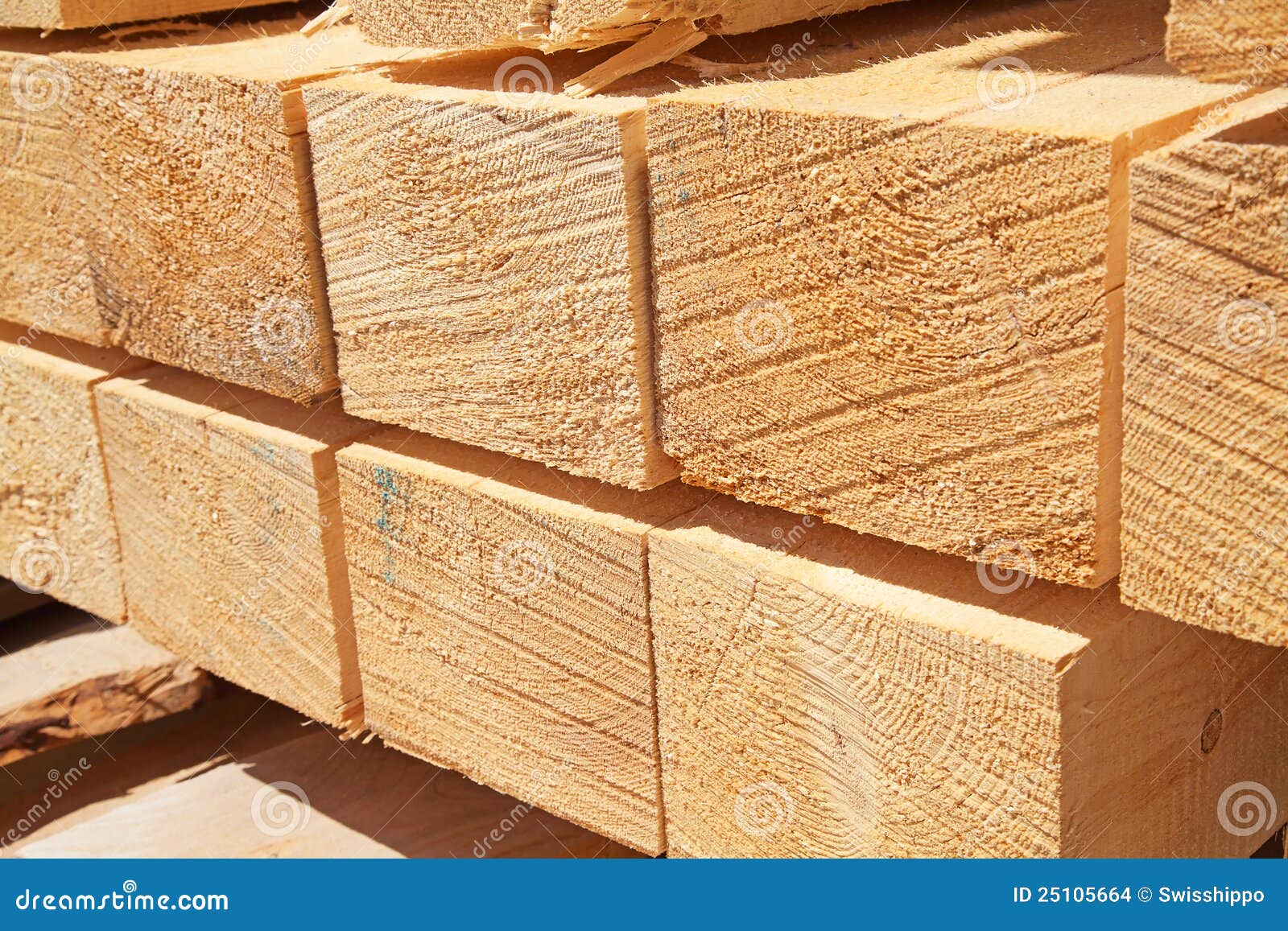Fresh wooden studs stock photo. Image of plank, construction - 25105664