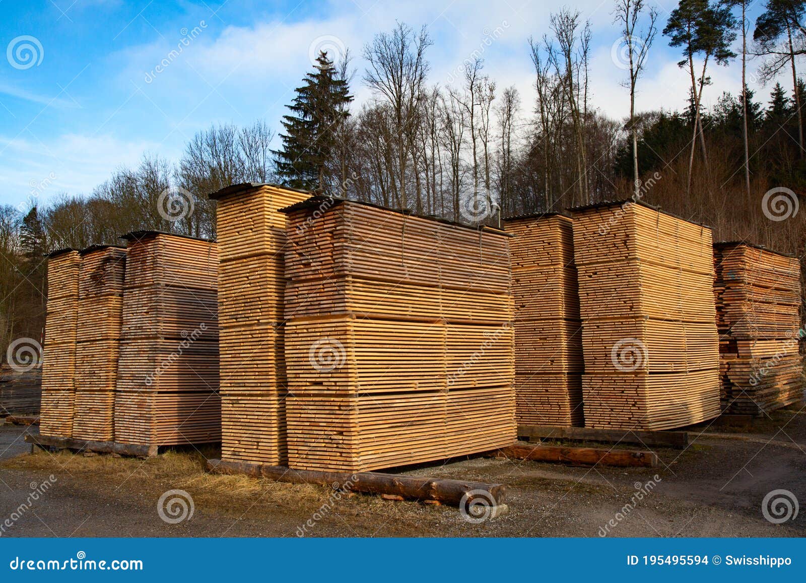 Fresh wooden studs stock photo. Image of natural, fence - 195495594