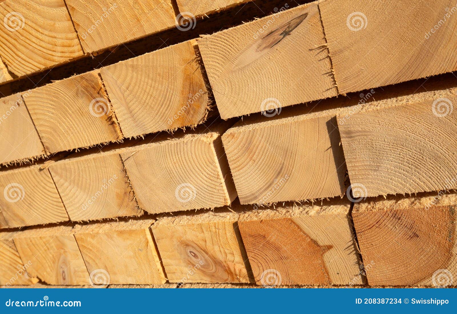 Fresh wooden studs stock photo. Image of fiber, floor - 208387234