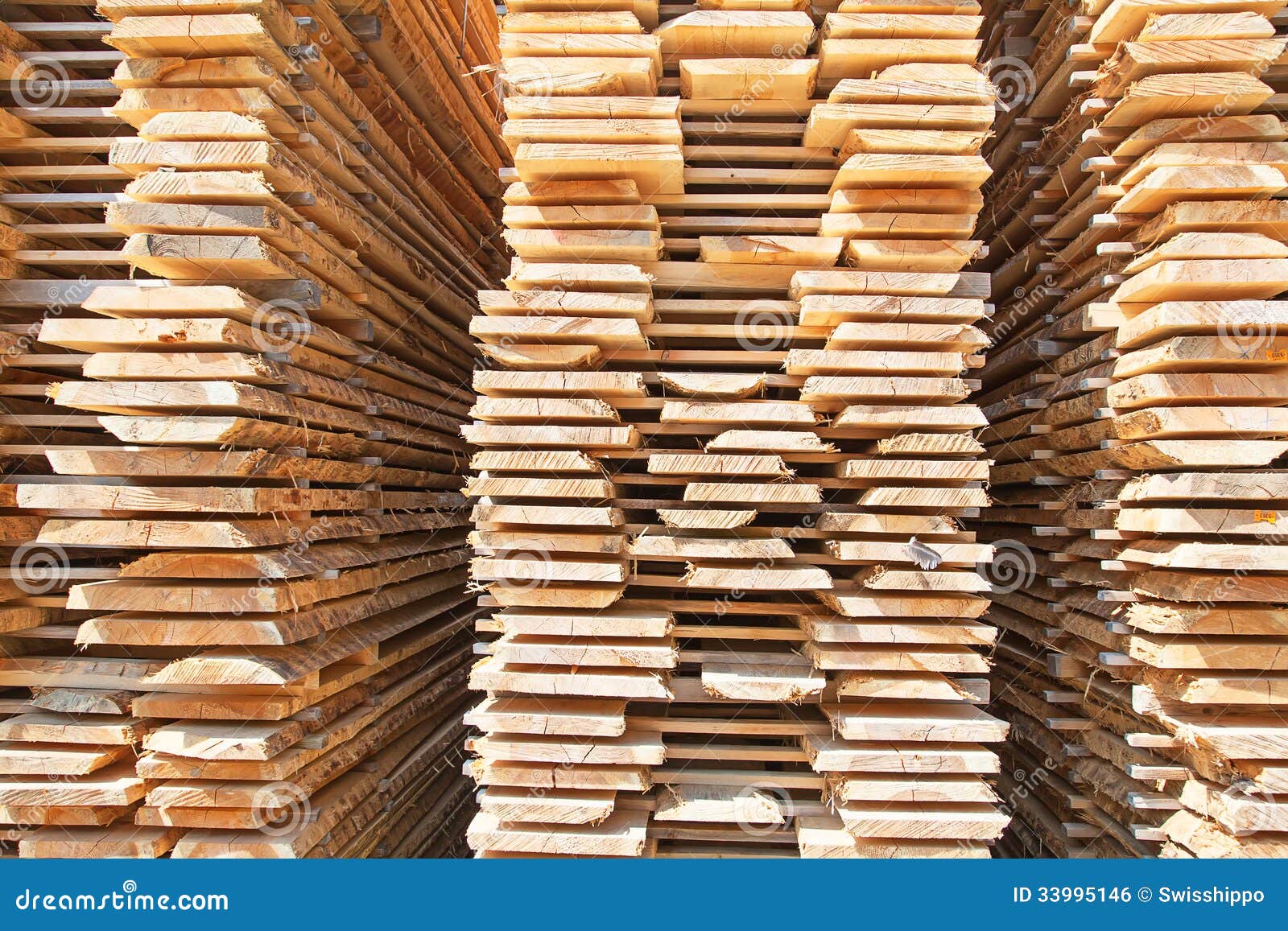 Fresh wooden studs stock photo. Image of real, industry - 33995146