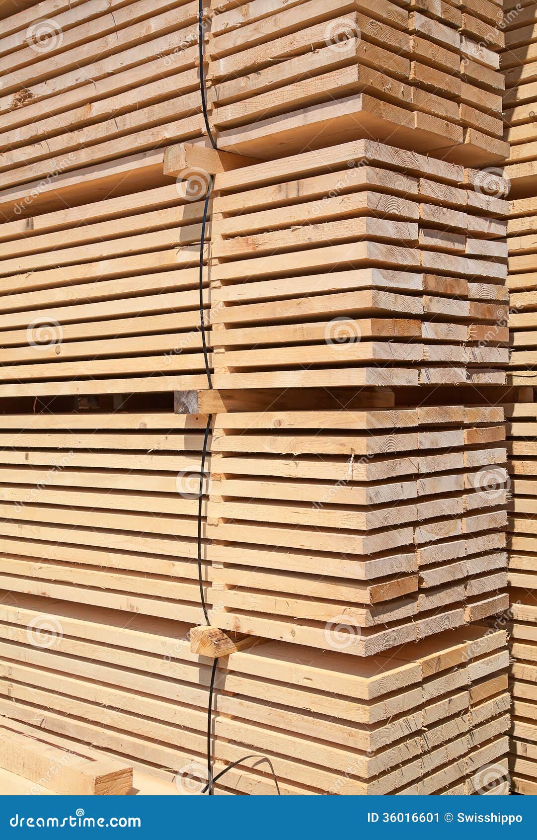 Fresh wooden studs stock image. Image of nature, industry - 36016601