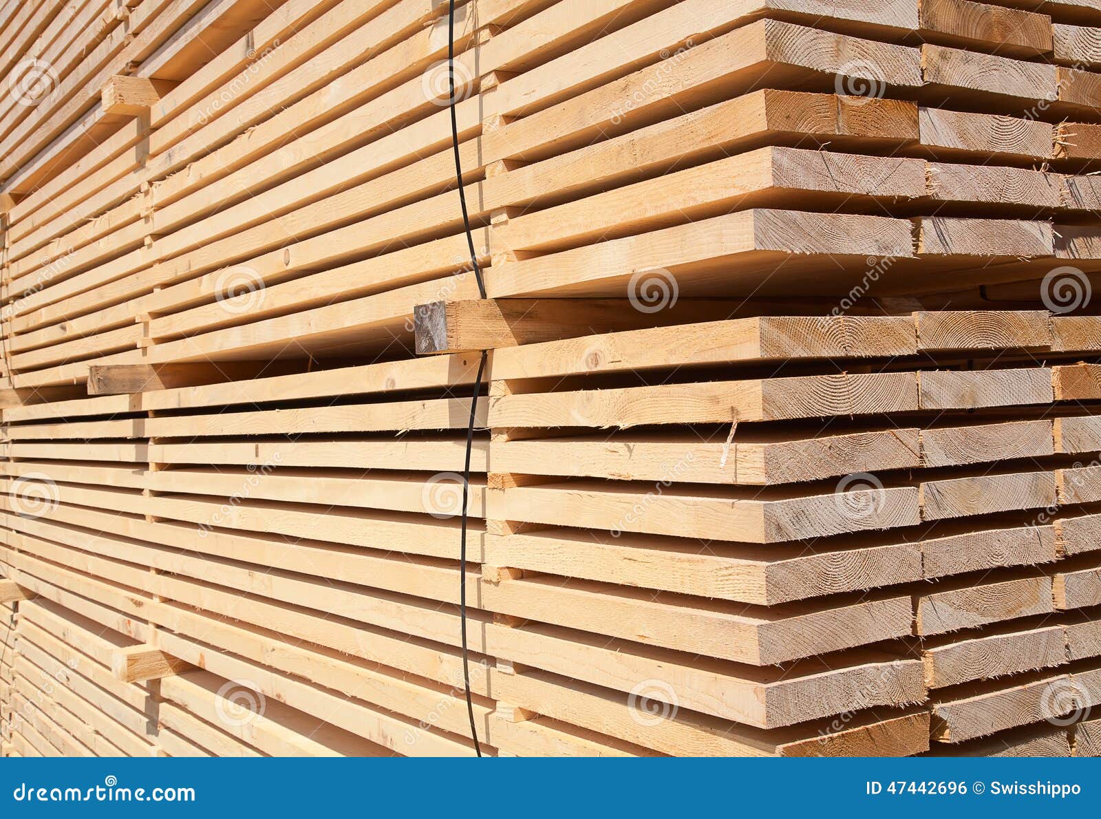 Fresh wooden studs stock photo. Image of fiber, build - 47442696