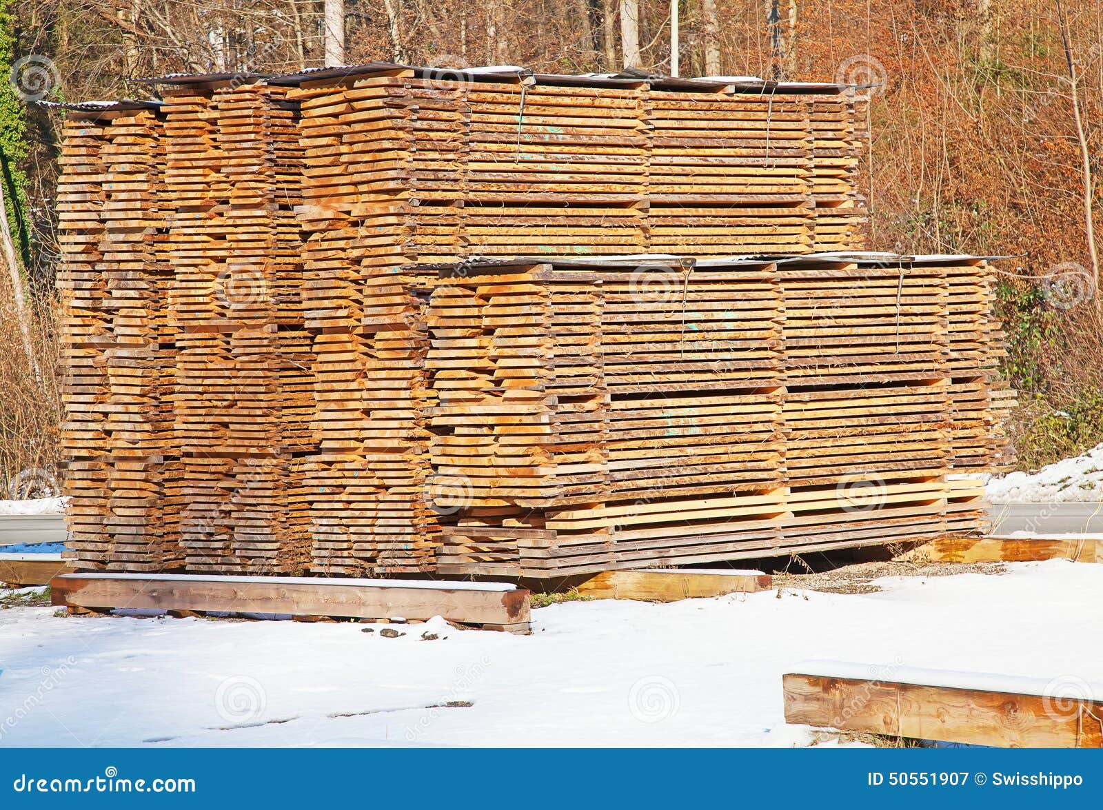 Fresh wooden studs stock image. Image of floor, estate - 50551907