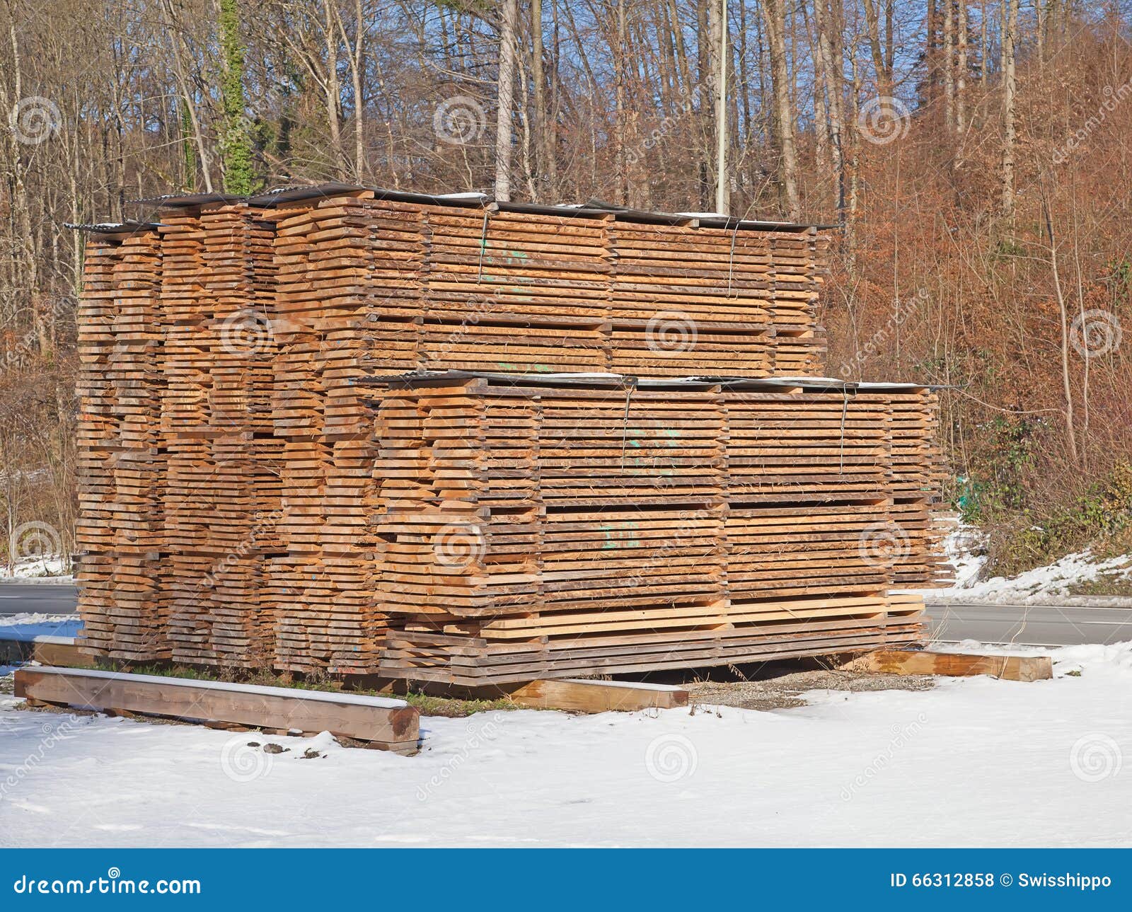 Fresh wooden studs stock photo. Image of build, lumber - 66312858