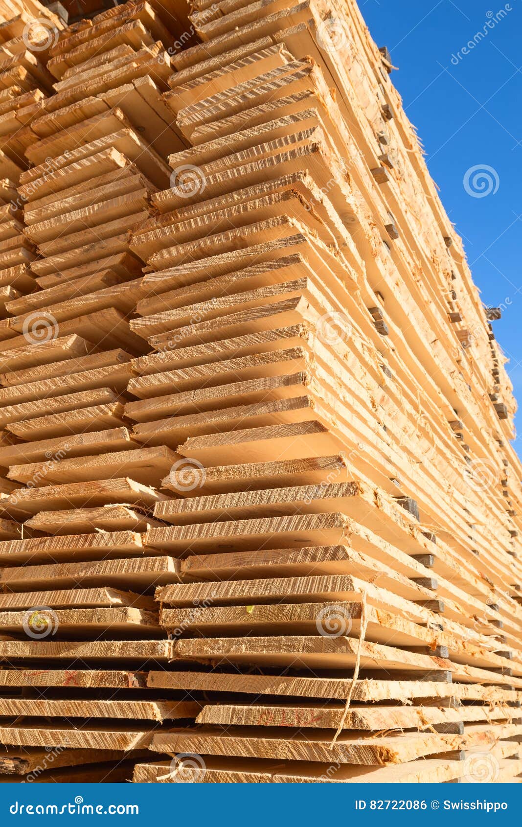 Fresh wooden studs stock photo. Image of estate, furniture - 82722086