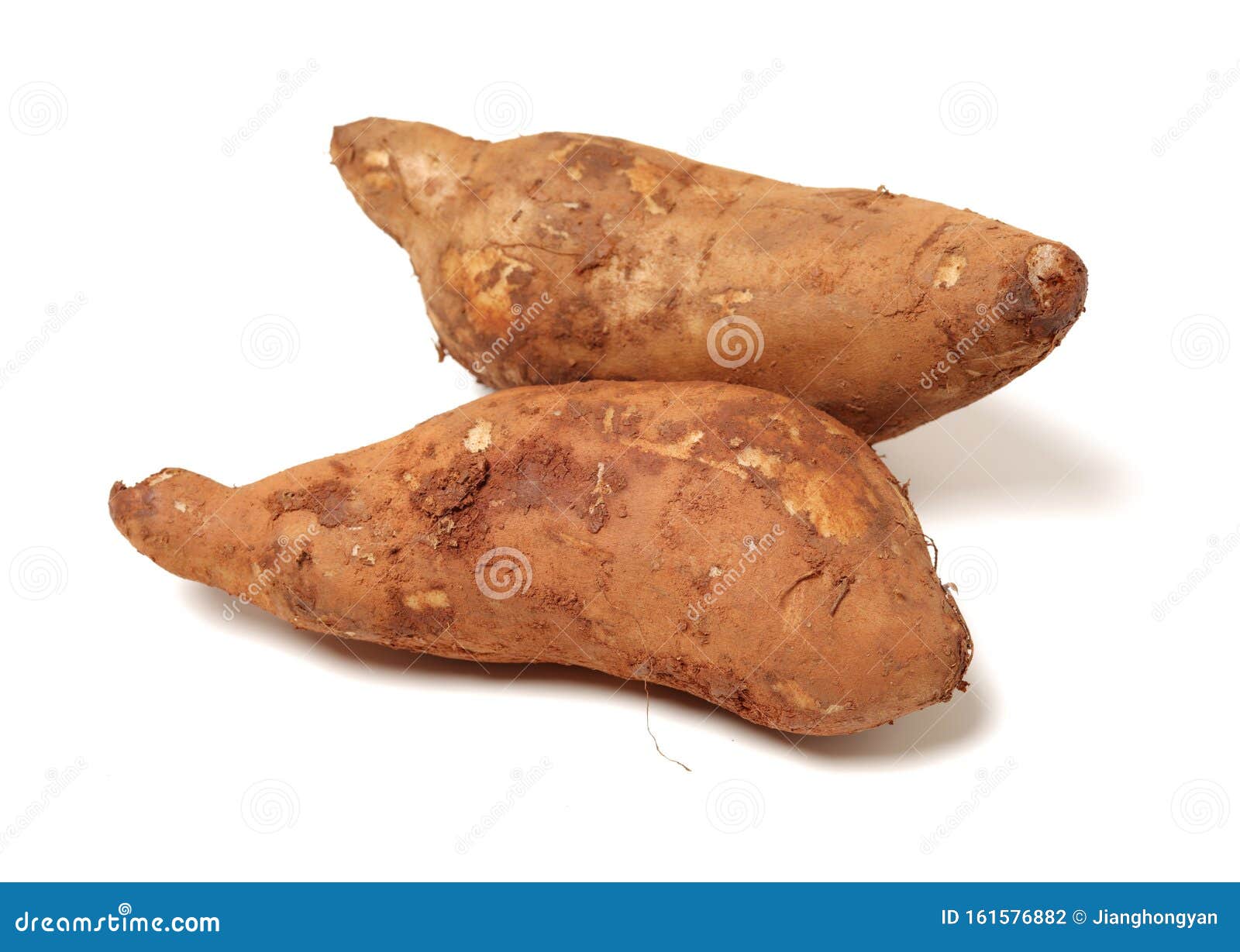 Fresh Yacon Roots (smallanthus Sonchifolius) Royalty-Free Stock Photo ...