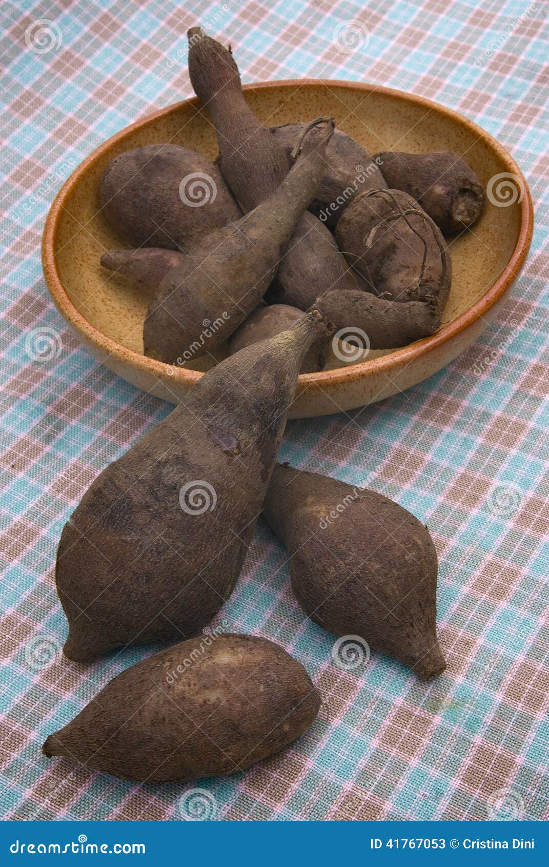 Fresh Yacon Roots (smallanthus Sonchifolius) Royalty-Free Stock Photo ...