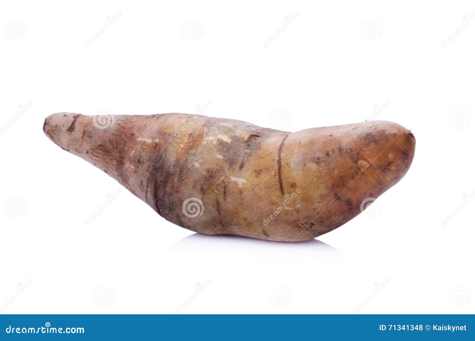 Fresh Yacon Roots (smallanthus Sonchifolius) Royalty-Free Stock ...