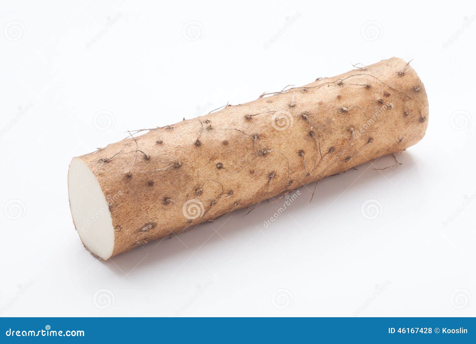 Fresh yam stock photo. Image of chinese, medicine, agriculture - 46167428