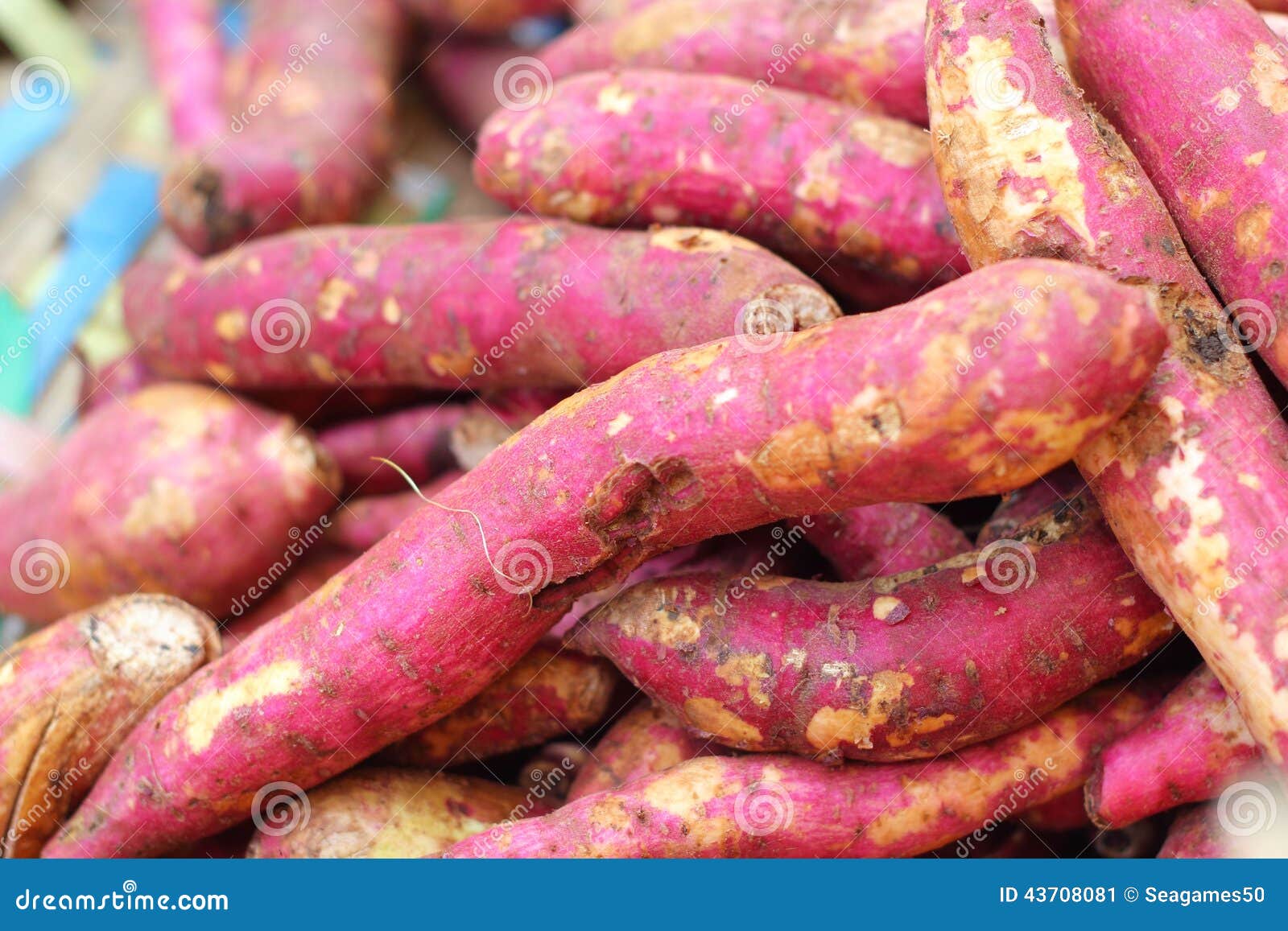 Fresh yam at the market stock image. Image of tuber, vitamin - 43708081