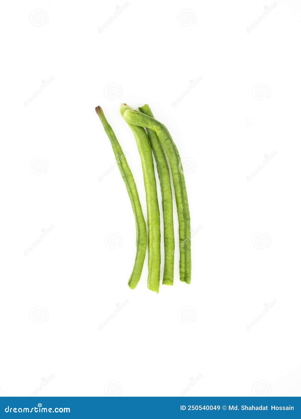 Fresh Yardlong Bean Pieces Isolated on White Background Stock Image ...