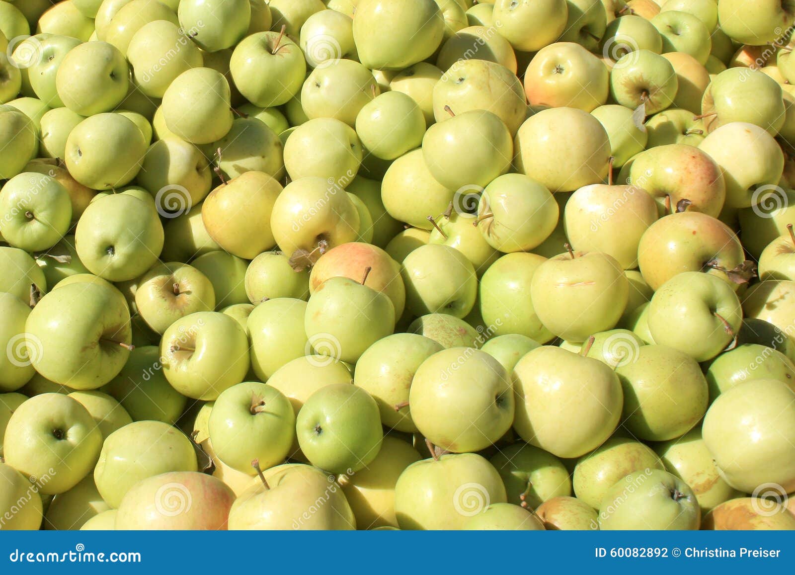 Fresh Yellow Apples at an Orchard Stock Photo - Image of diet, nature ...