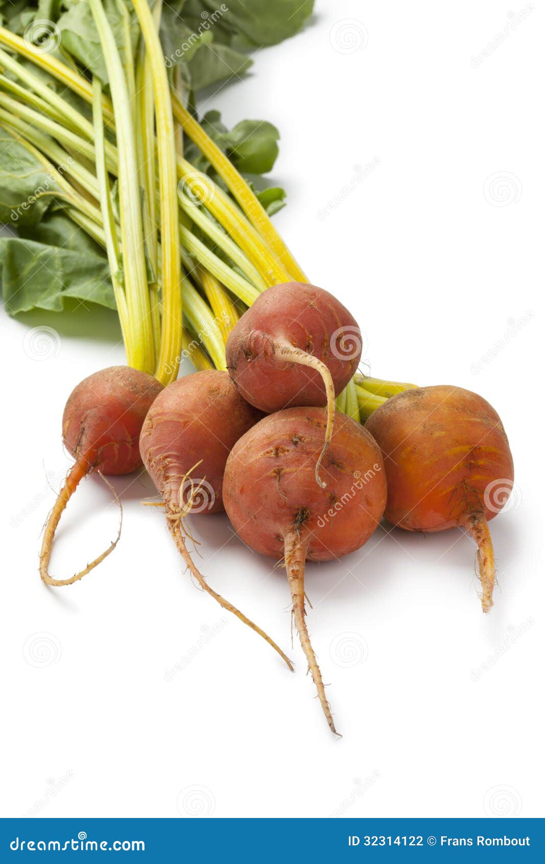 Fresh yellow beets stock photo. Image of studio, white - 32314122