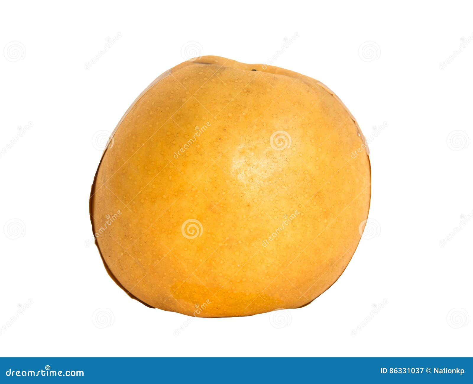 Fresh Yellow Chinese Pear in Foam Cover Stock Image - Image of natural ...