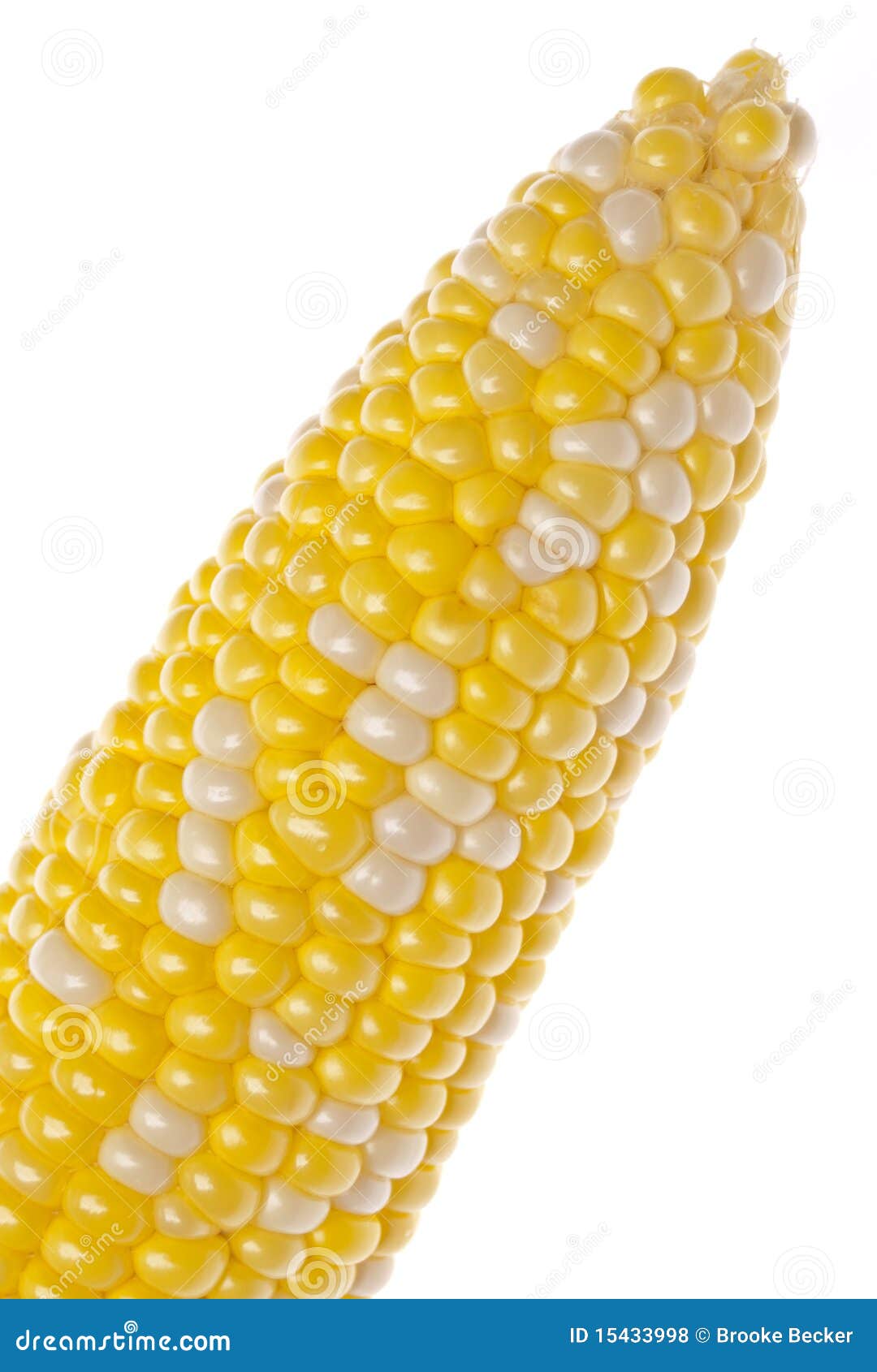 Fresh Yellow Corn stock photo. Image of produce, clipping - 15433998