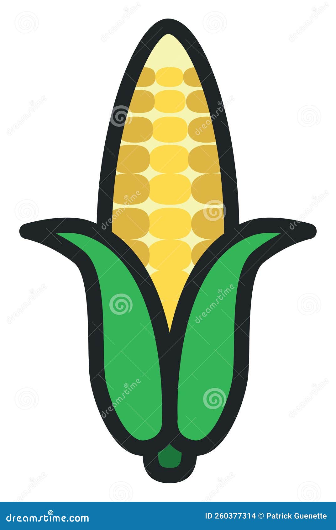 Fresh yellow corn, icon stock vector. Illustration of icon - 260377314