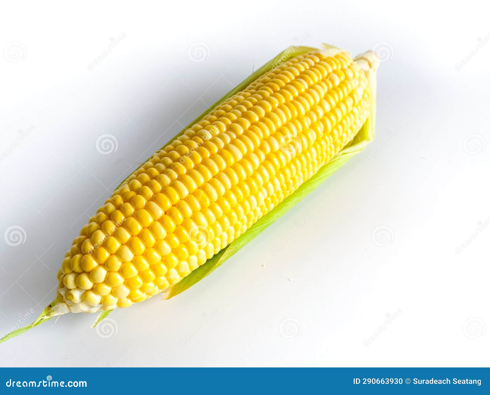 Fresh Yellow Corn on White Background Stock Photo - Image of ripe, leaf ...