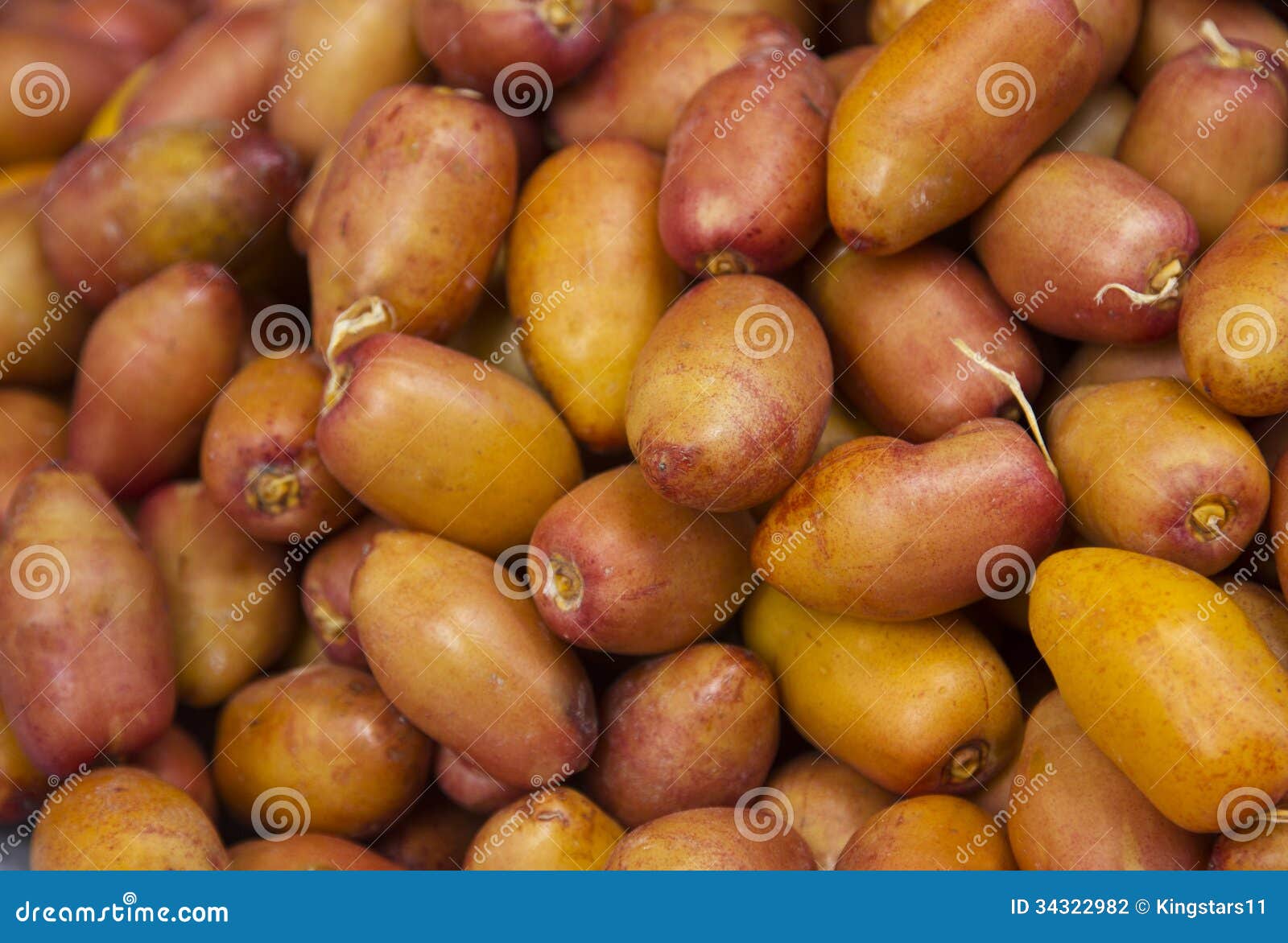 Fresh yellow date stock photo. Image of branch, summer - 34322982