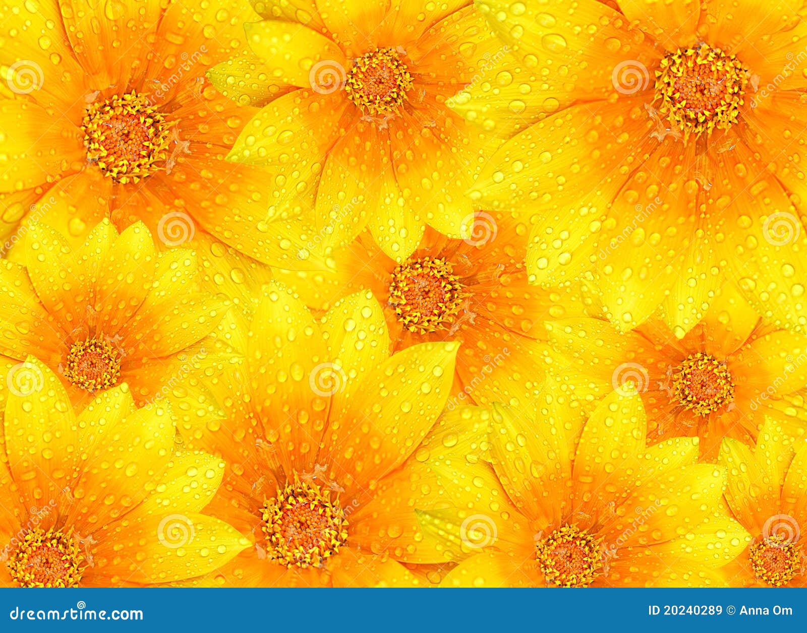 Fresh Yellow Flowers Background Stock Image - Image of decoration ...